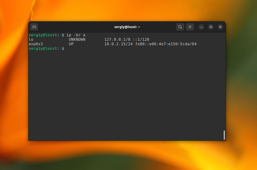 How to Get IP Address in Linux | Losst