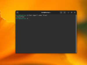 How to Find File in Linux | Losst