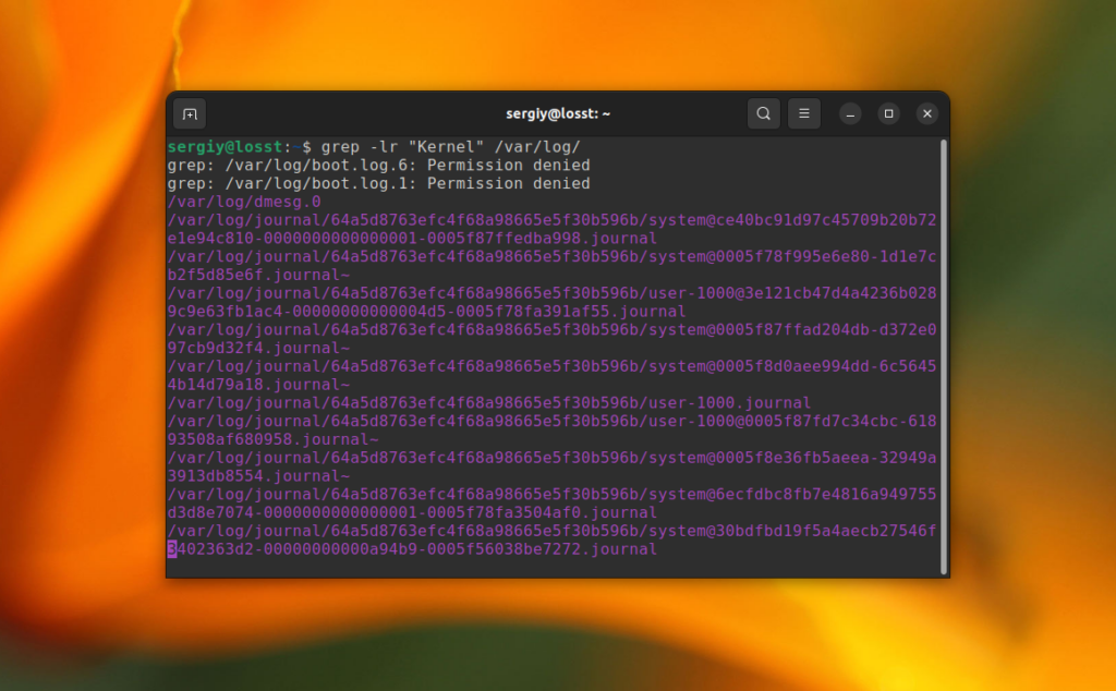 Command grep in Linux | Losst