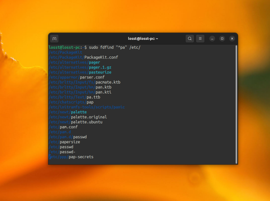 How to Find File in Linux | Losst