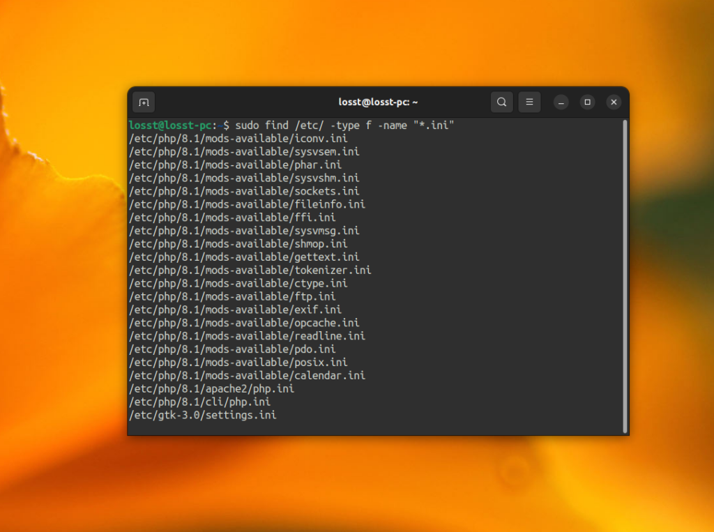 How to Find File in Linux | Losst