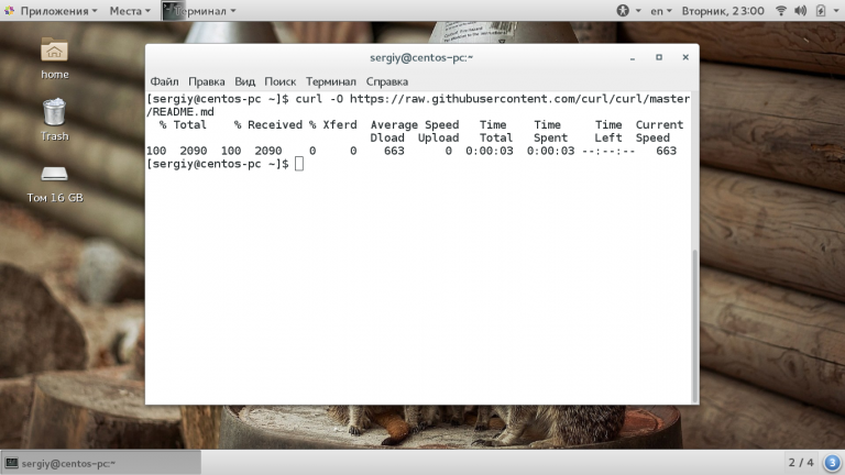 Как пользоваться curl - Losst