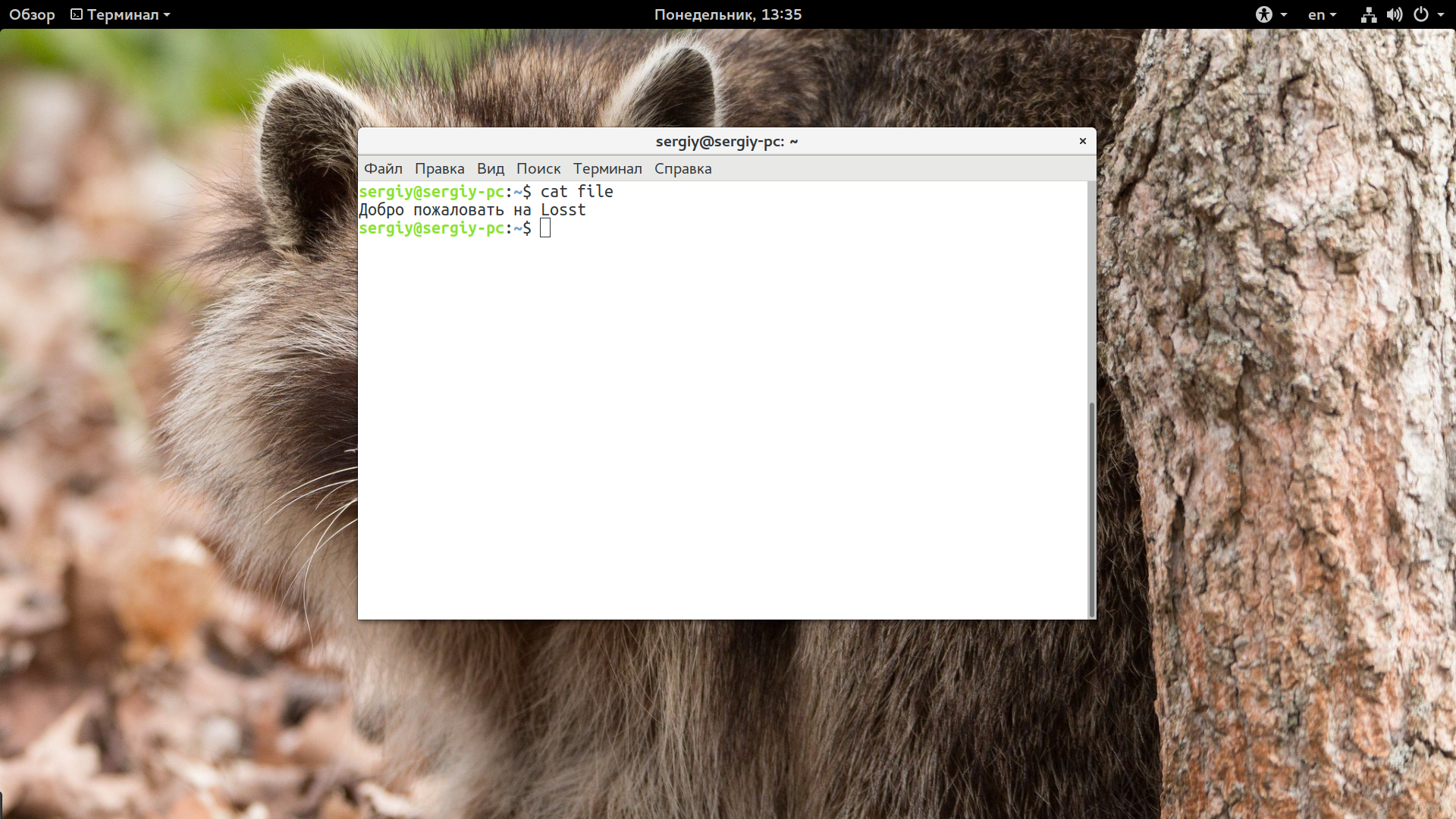 Команда cat Linux - Losst