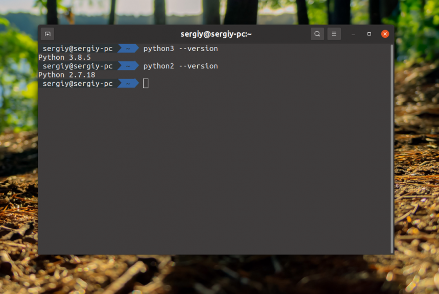  Python 3 Ubuntu Losst