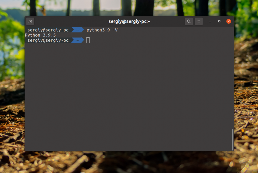 Install Python Script Linux