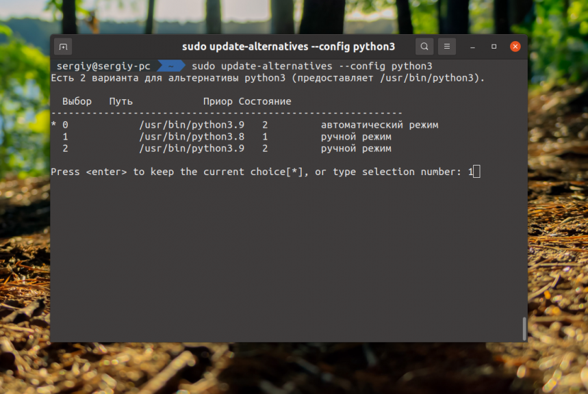 Install Python Script Linux