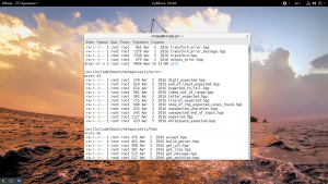 Команда ls Linux - Losst
