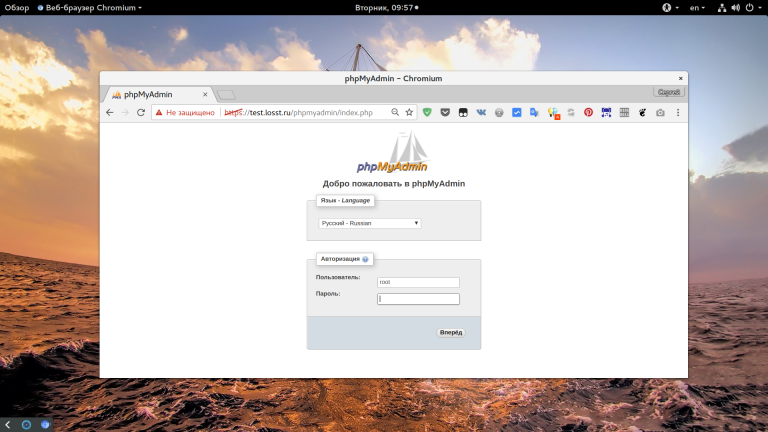 Как пользоваться phpmyadmin - Losst