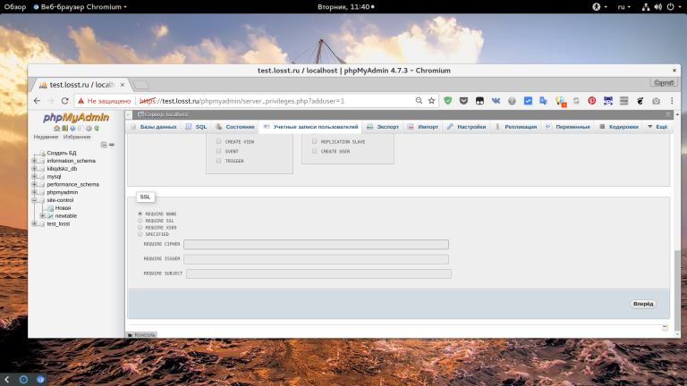 Как пользоваться phpmyadmin - Losst