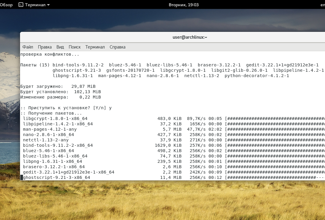 Установка пакетов ArchLinux - Losst