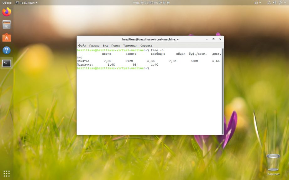 Check Swap File Linux