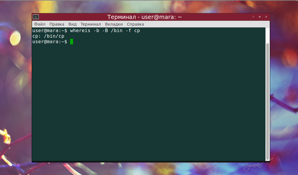 Команда whereis в Linux - Losst