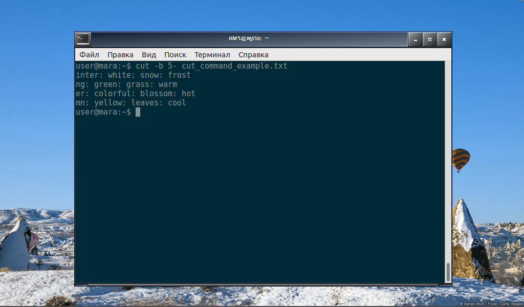 Команда cut Linux - Losst