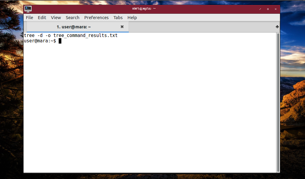 Команда tree linux - Losst