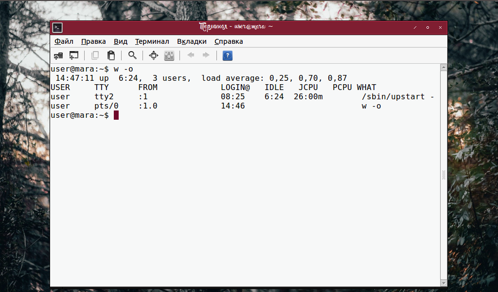 Команда w Linux - Losst