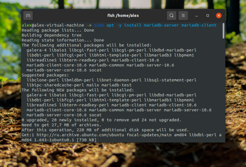 Установка MariaDB в Ubuntu 20.04 - Losst