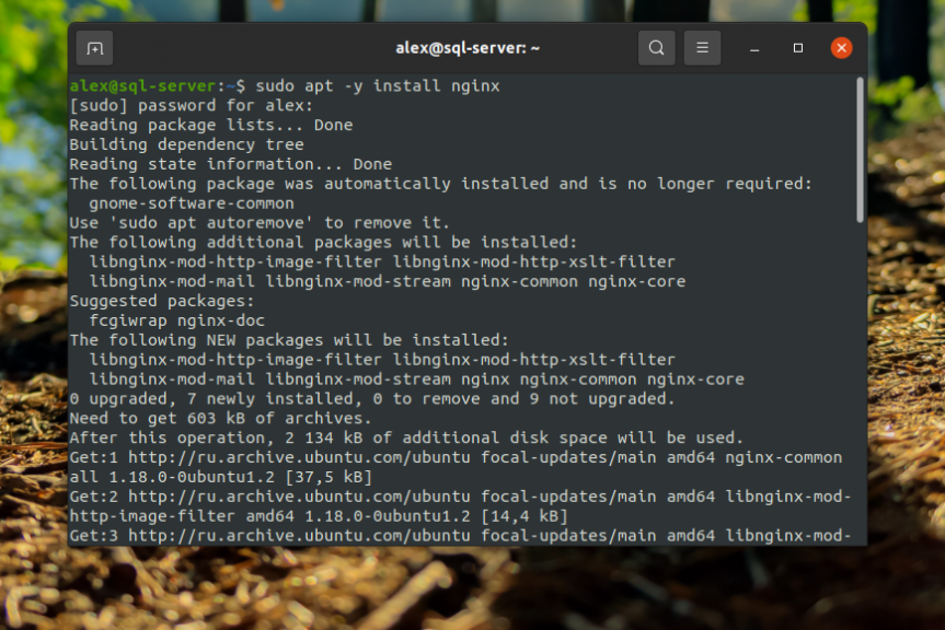 Установка Nginx и PHP-FPM в Ubuntu 20.04 - Losst