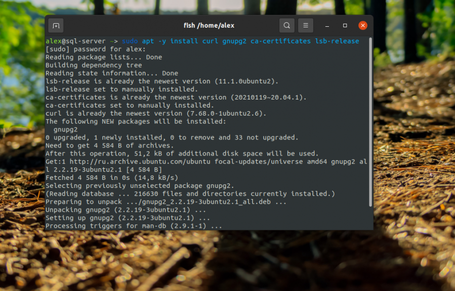 Установка Nginx и PHP-FPM в Ubuntu 20.04 - Losst