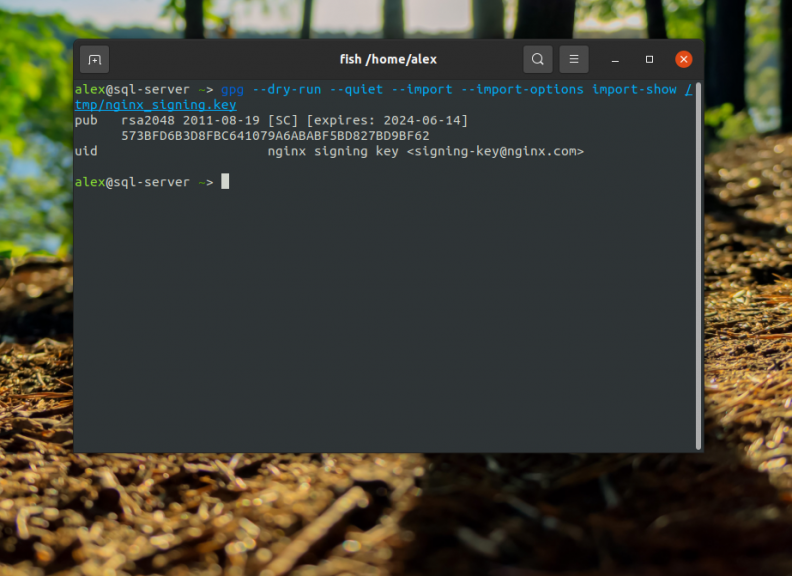 Установка Nginx и PHP-FPM в Ubuntu 20.04 - Losst