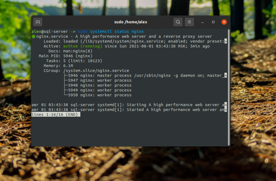 Установка Nginx и PHP-FPM в Ubuntu 20.04 - Losst