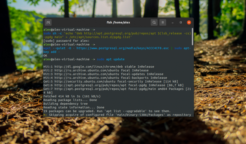Установка Postgresql в Ubuntu Losst