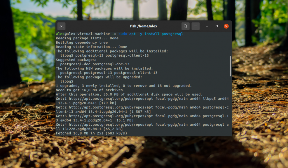 Установка Postgresql в Ubuntu Losst