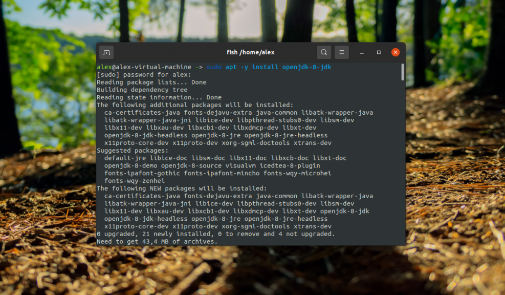 Установка Java в Ubuntu 20.04 - Losst