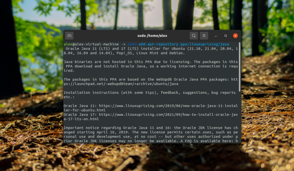 Установка Java в Ubuntu 20.04 - Losst