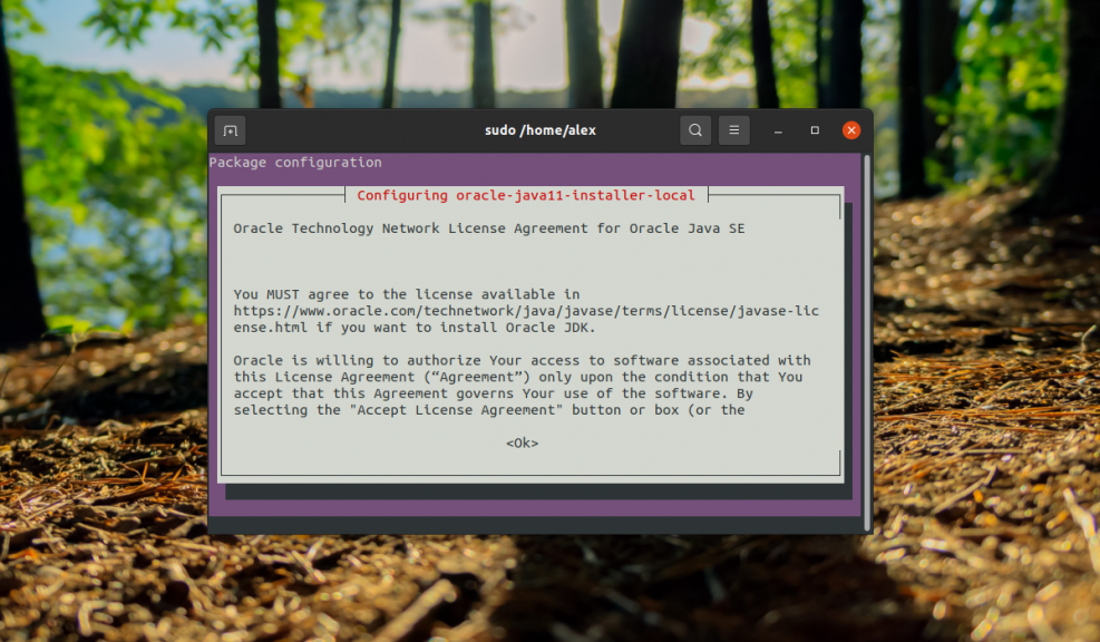 Установка Java в Ubuntu 20.04 - Losst