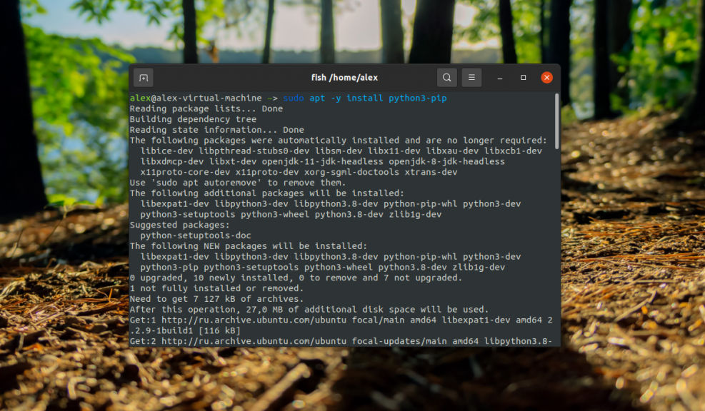 Установка PIP в Ubuntu - Losst