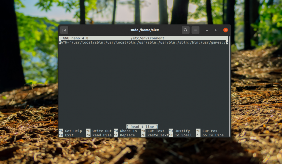 Установка Java в Linux - Losst