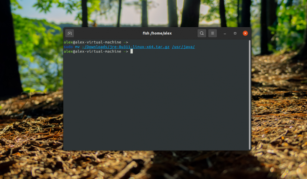 Установка Java в Linux - Losst