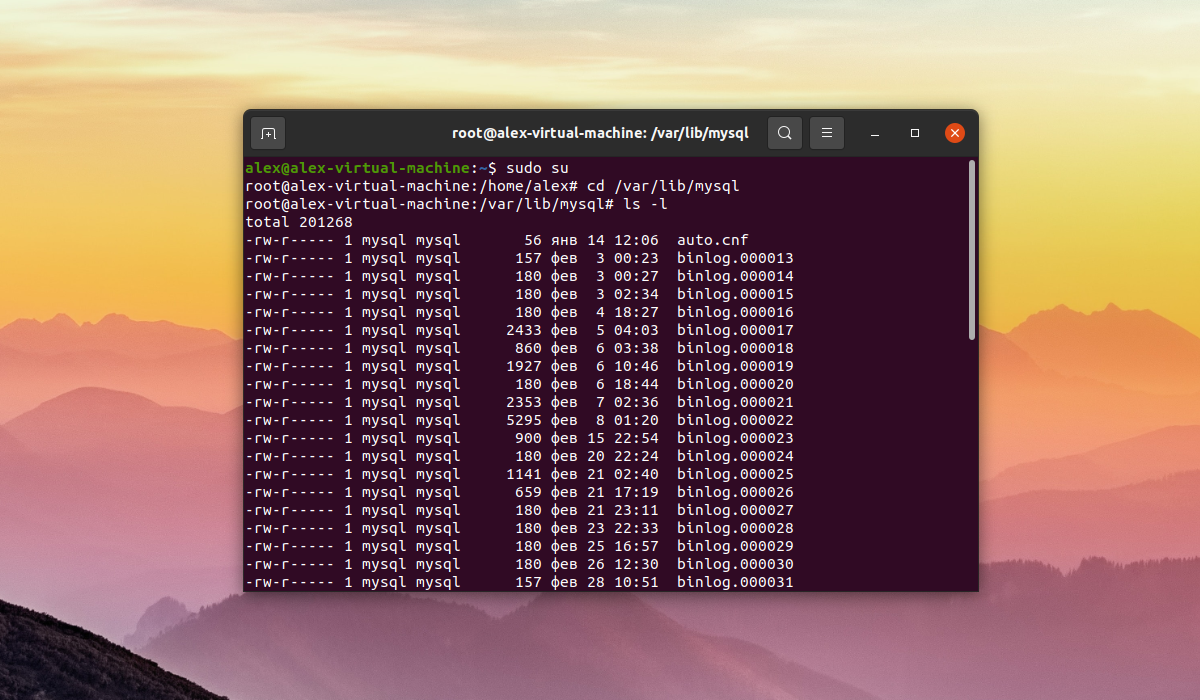 Где хранятся базы данных MySQL - Losst