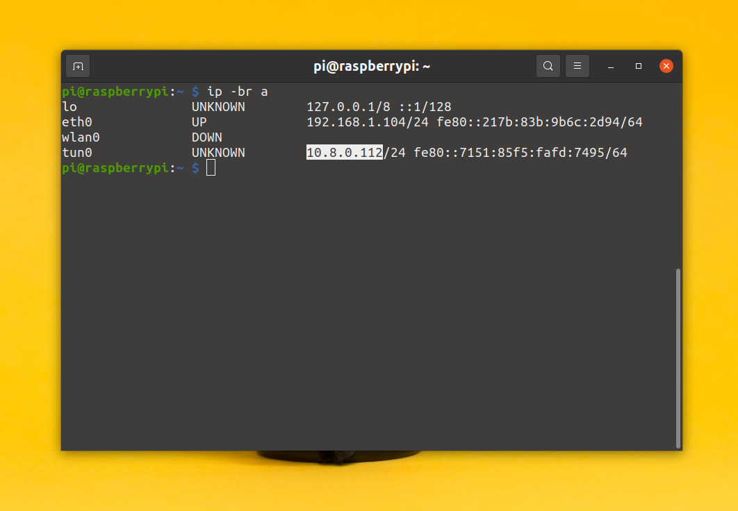 Статический IP клиента OpenVPN - Losst