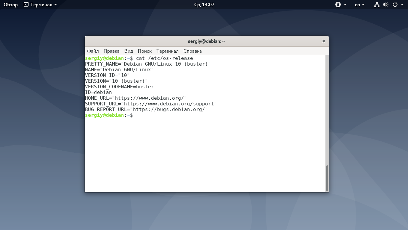 Как узнать версию Debian - Losst