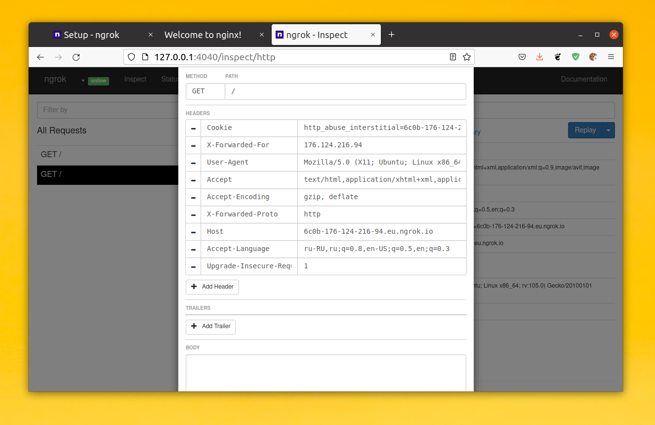 Как пользоваться Ngrok - IT-Привет!