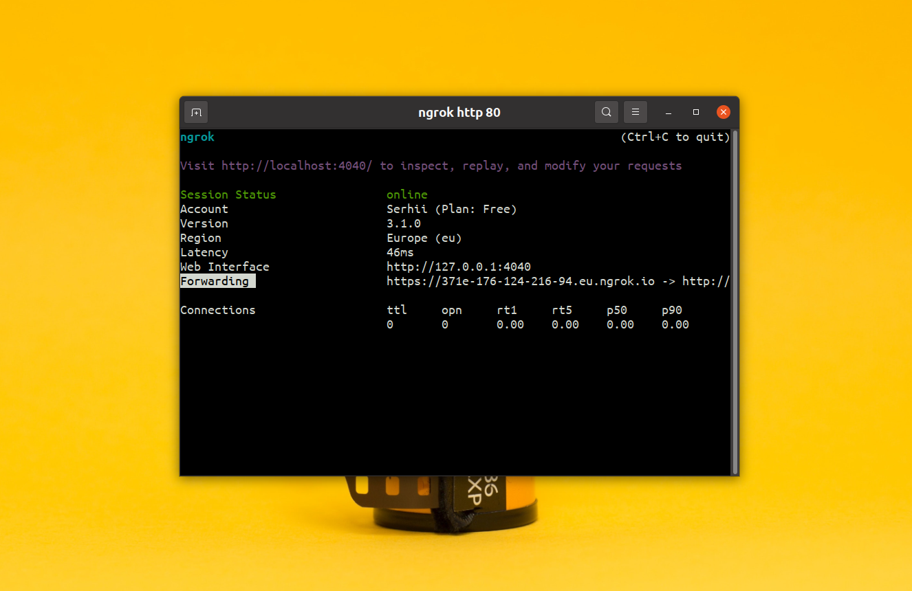Как пользоваться Ngrok - Losst