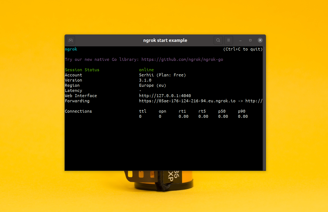 Как пользоваться Ngrok - Losst