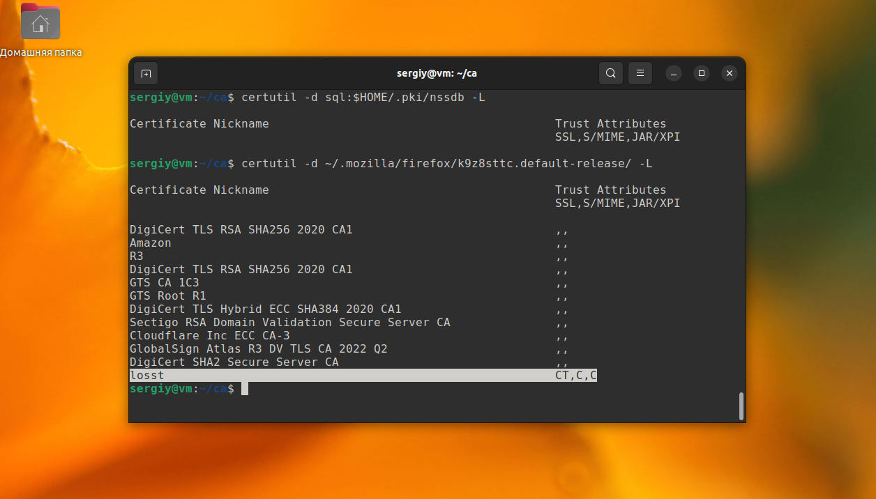 Установка сертификатов в Ubuntu - Losst
